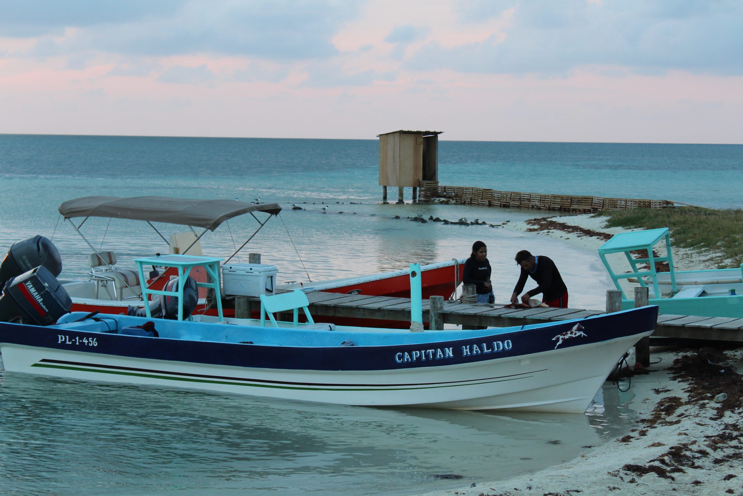 Cayos Miskitos, una fauna marina inexplorada y amenazada - MarAlliance.org