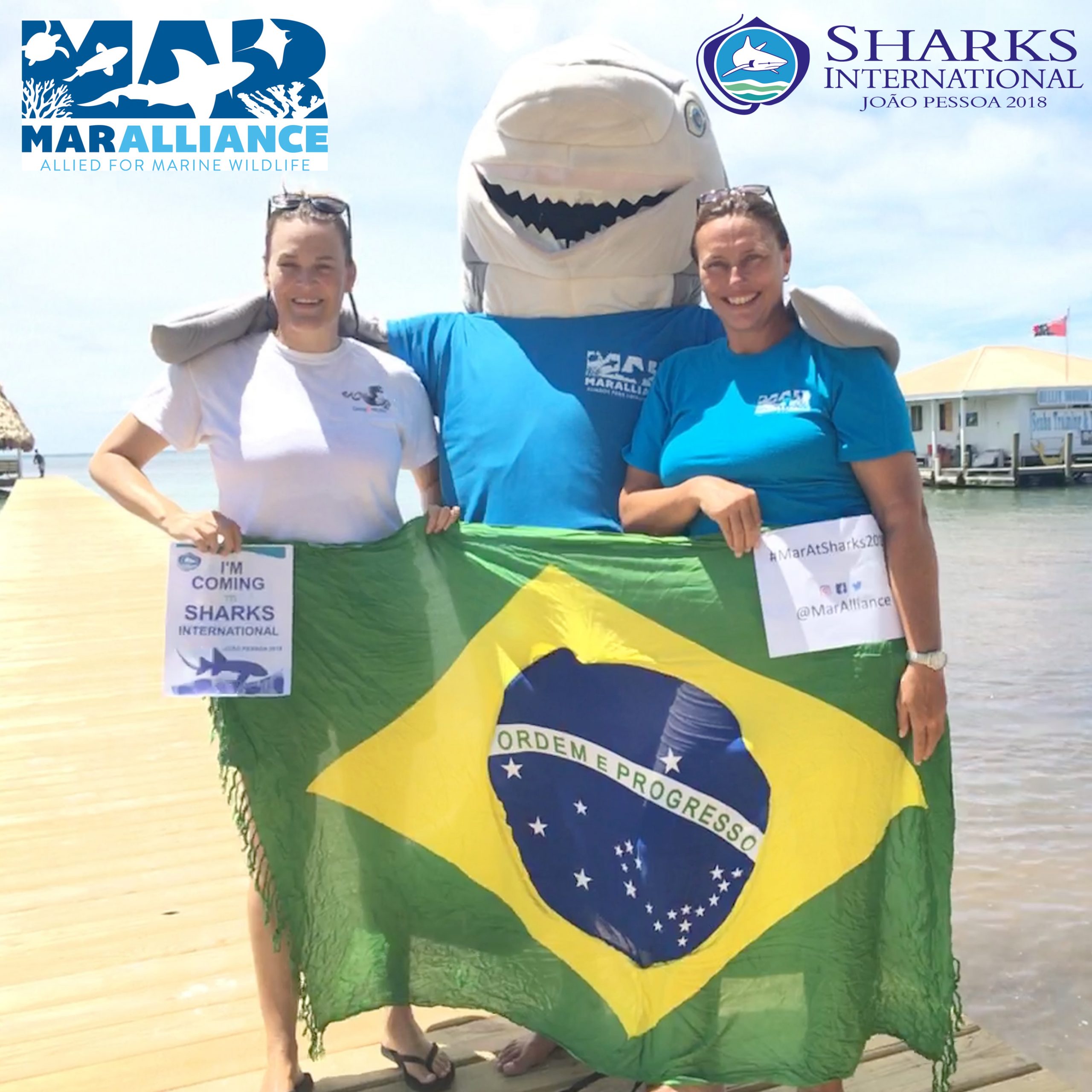 MarAlliance en Sharks International - MarAlliance.org