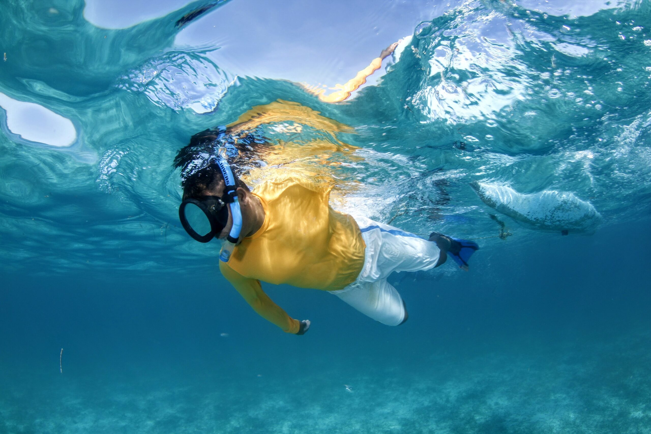 Search - MarAlliance.org