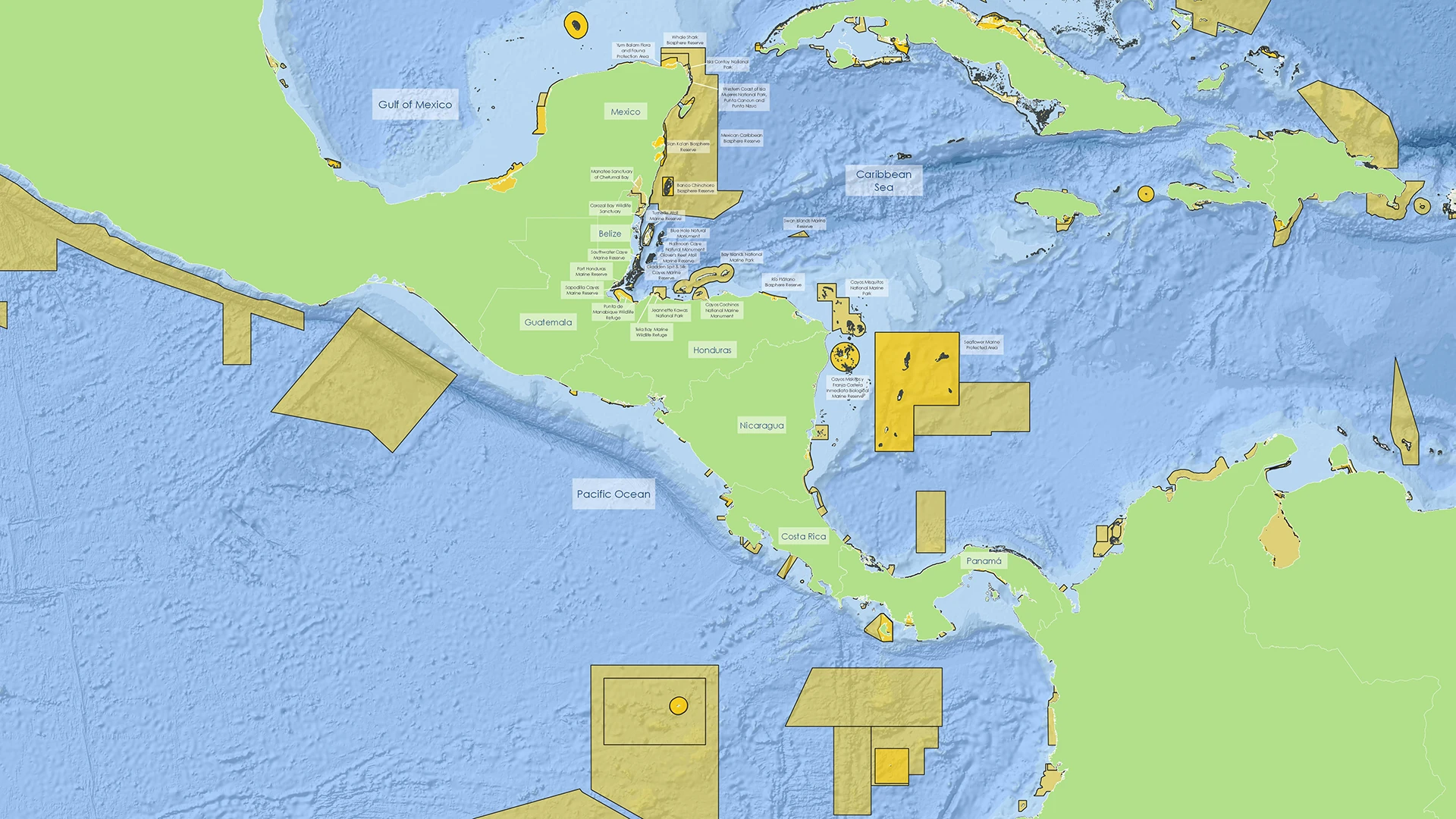 Seguimiento - MarAlliance.org