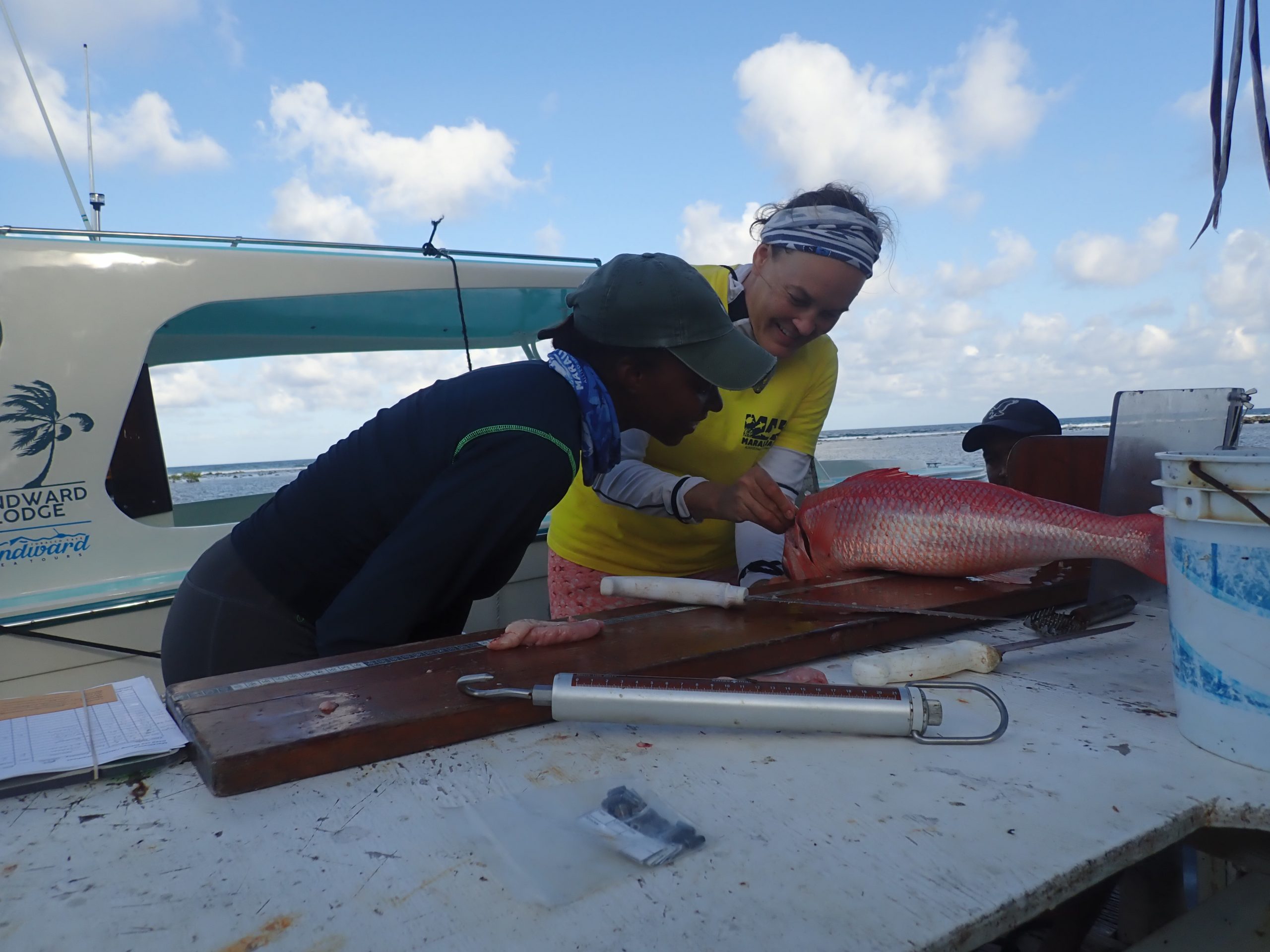 Deepwater Fisheries of the Caribbean: Balancing Sustainability and ...