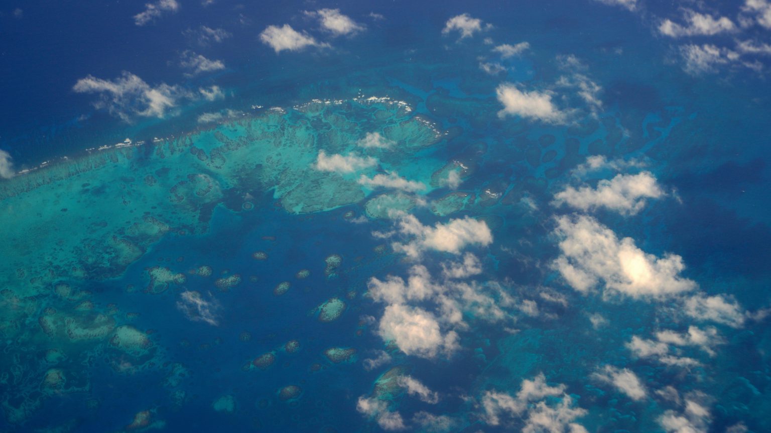 What happened to Gladden Spit’s whale sharks and spawning fish? A new ...