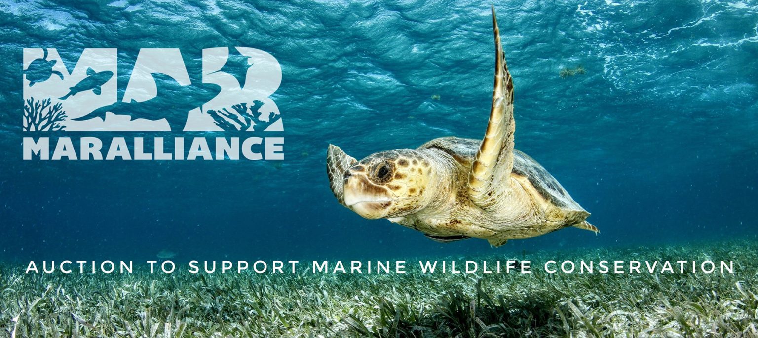 Home - MarAlliance.org