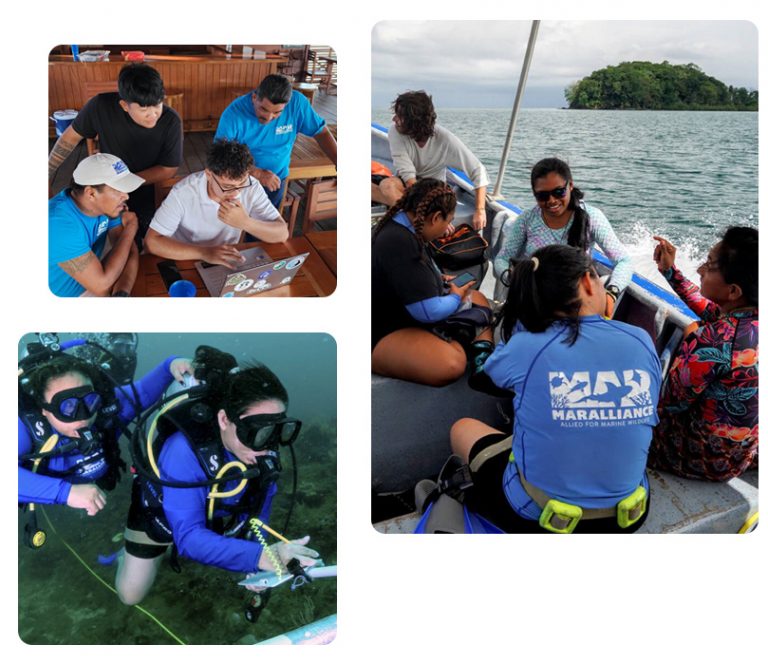 Careers - MarAlliance.org