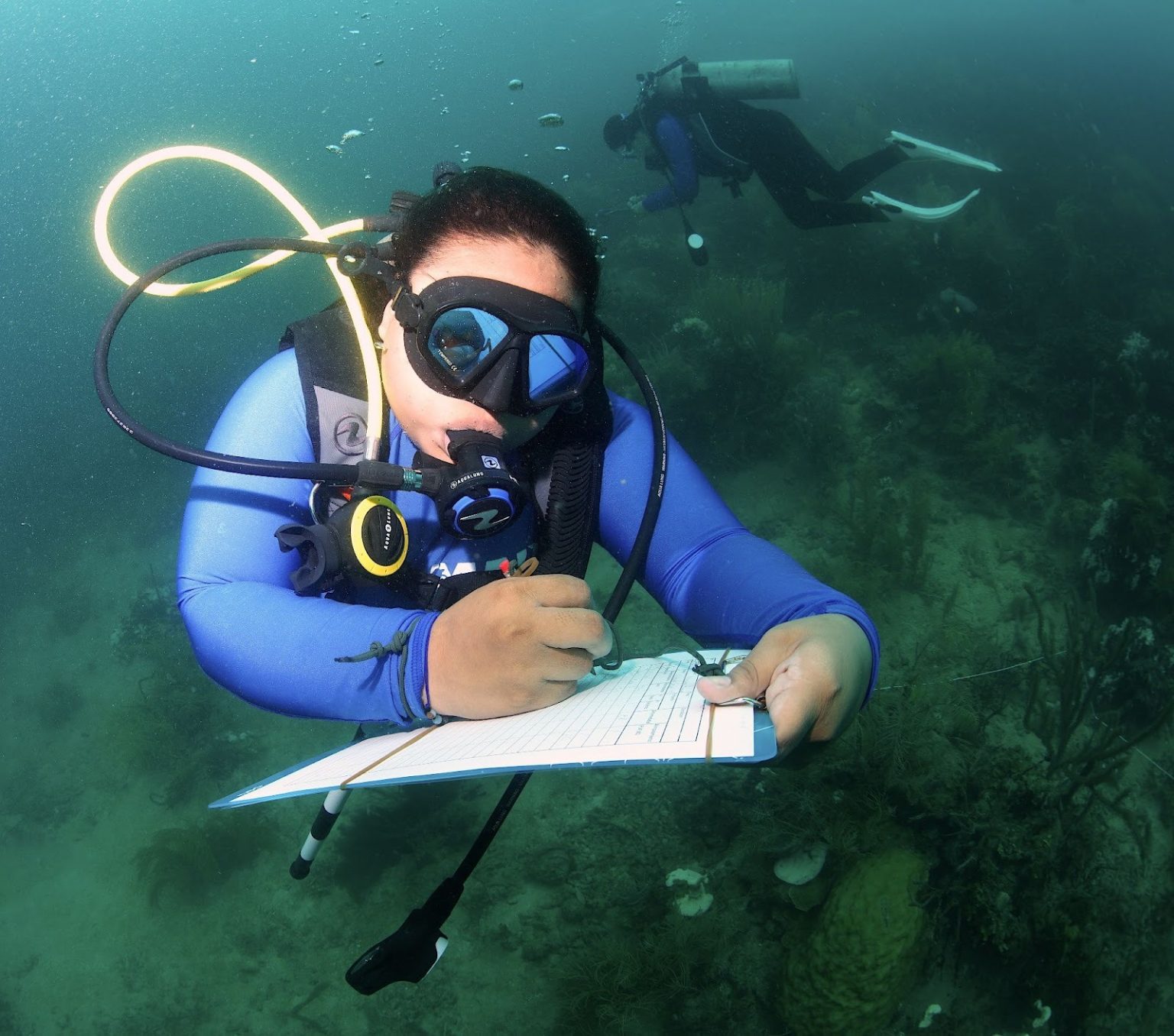 Detrás de escena de la conservación marina: Un día en el campo con ...